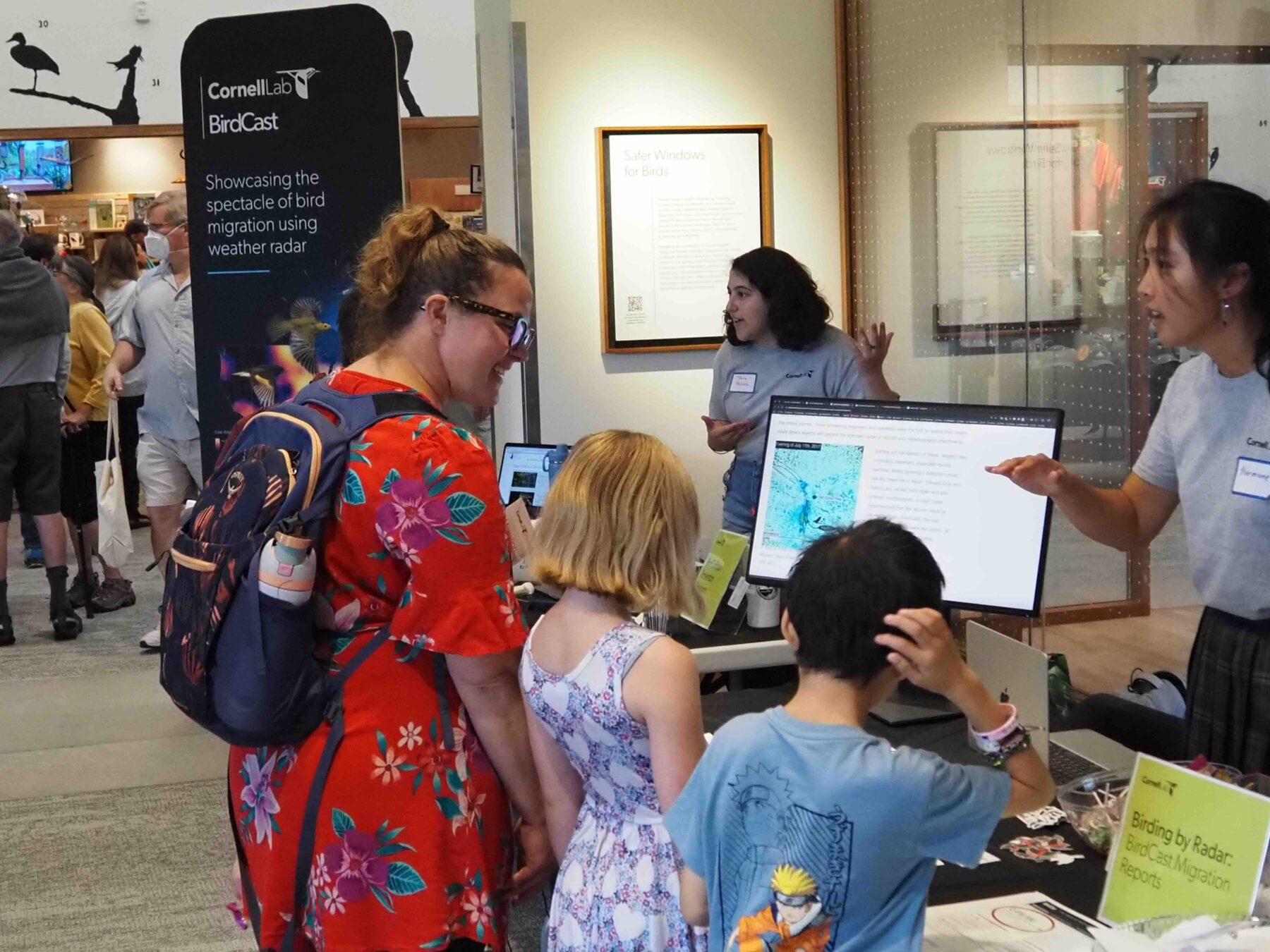 BirdCast - Bird migration forecasts in real-time