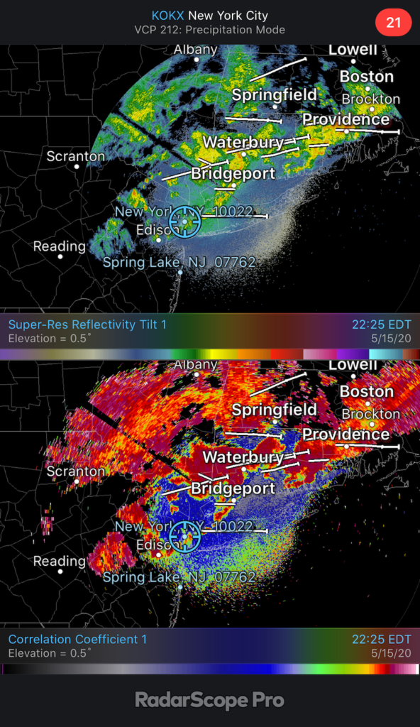 Major fallout and morning flight event on Cape Cod, Massachusetts on ...