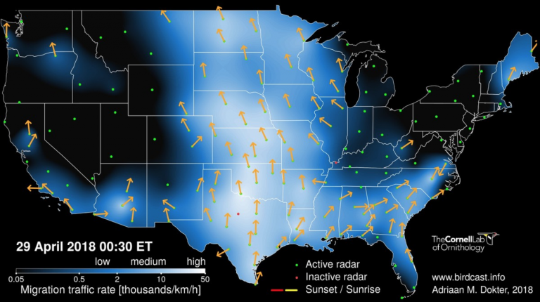 A primer for using weather surveillance radar to study bird migration ...