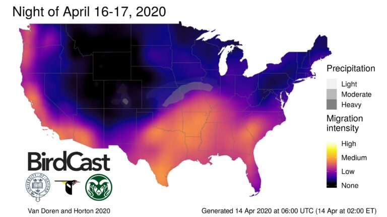 Note: new color scale for migration intensity on BirdCast forecast maps ...