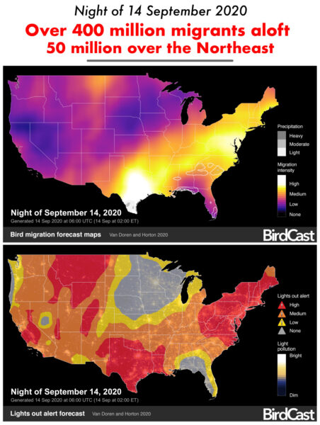 Migration alert: Major northeast flight on 14 September 2020 - BirdCast