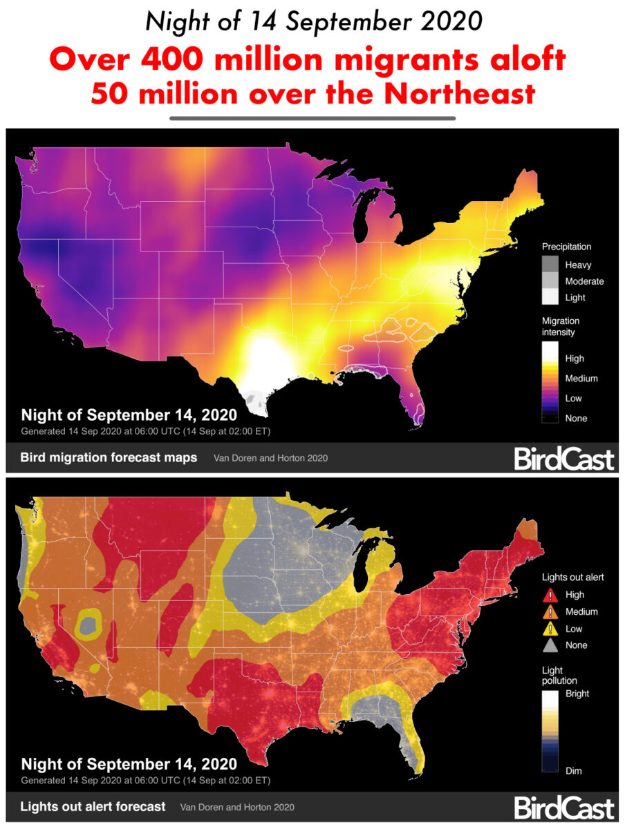 Migration alert: Major northeast flight on 14 September 2020 - BirdCast
