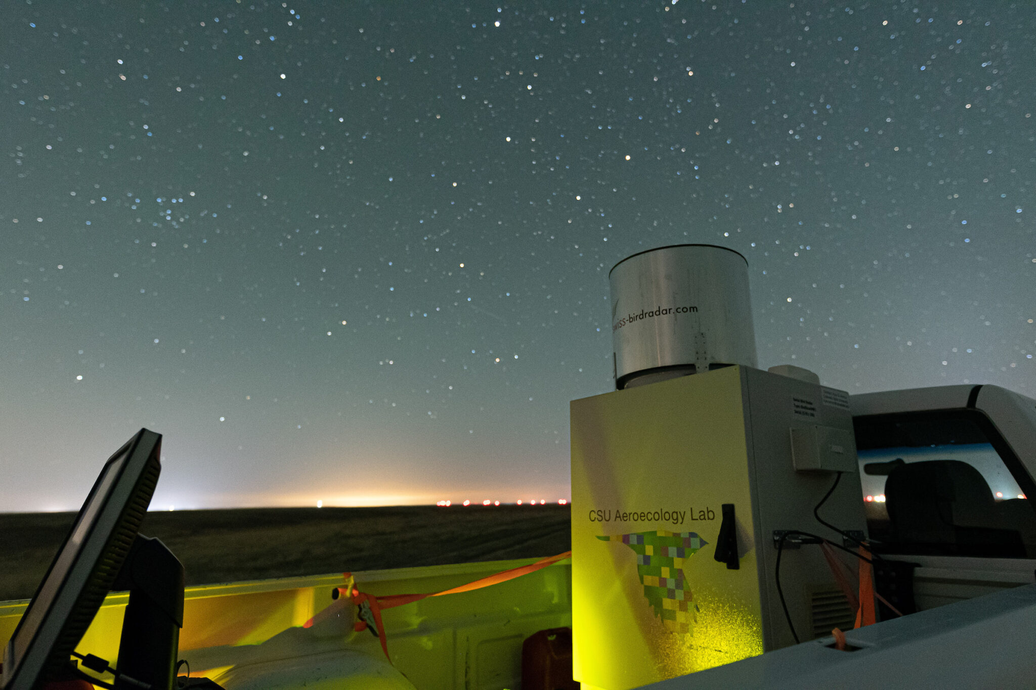 BirdCast - Bird migration forecasts in real-time